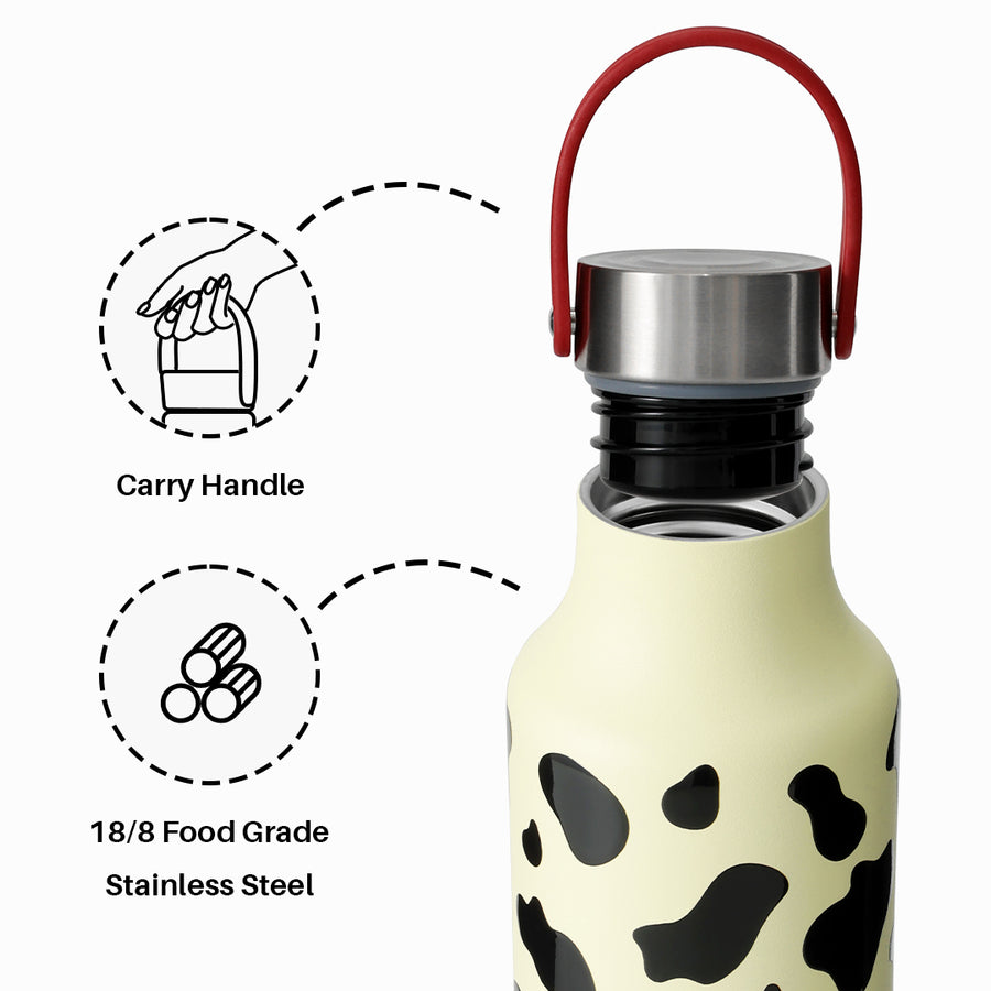 bottlebottle: Functional and stylish water bottles bring convenience!